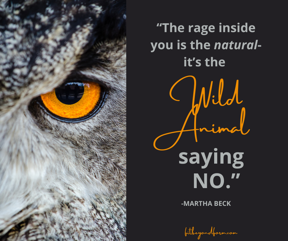 Can we just be wild? – LA Holmberg: fit beyond Form